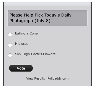 My Daily Photograph by David E. LeVine - Fine Art Photography shared daily