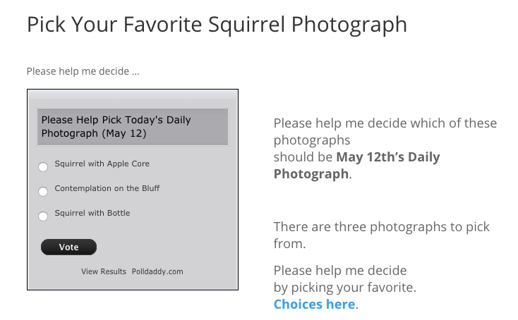 My Daily Photograph by David E. LeVine - Fine Art Photography shared daily